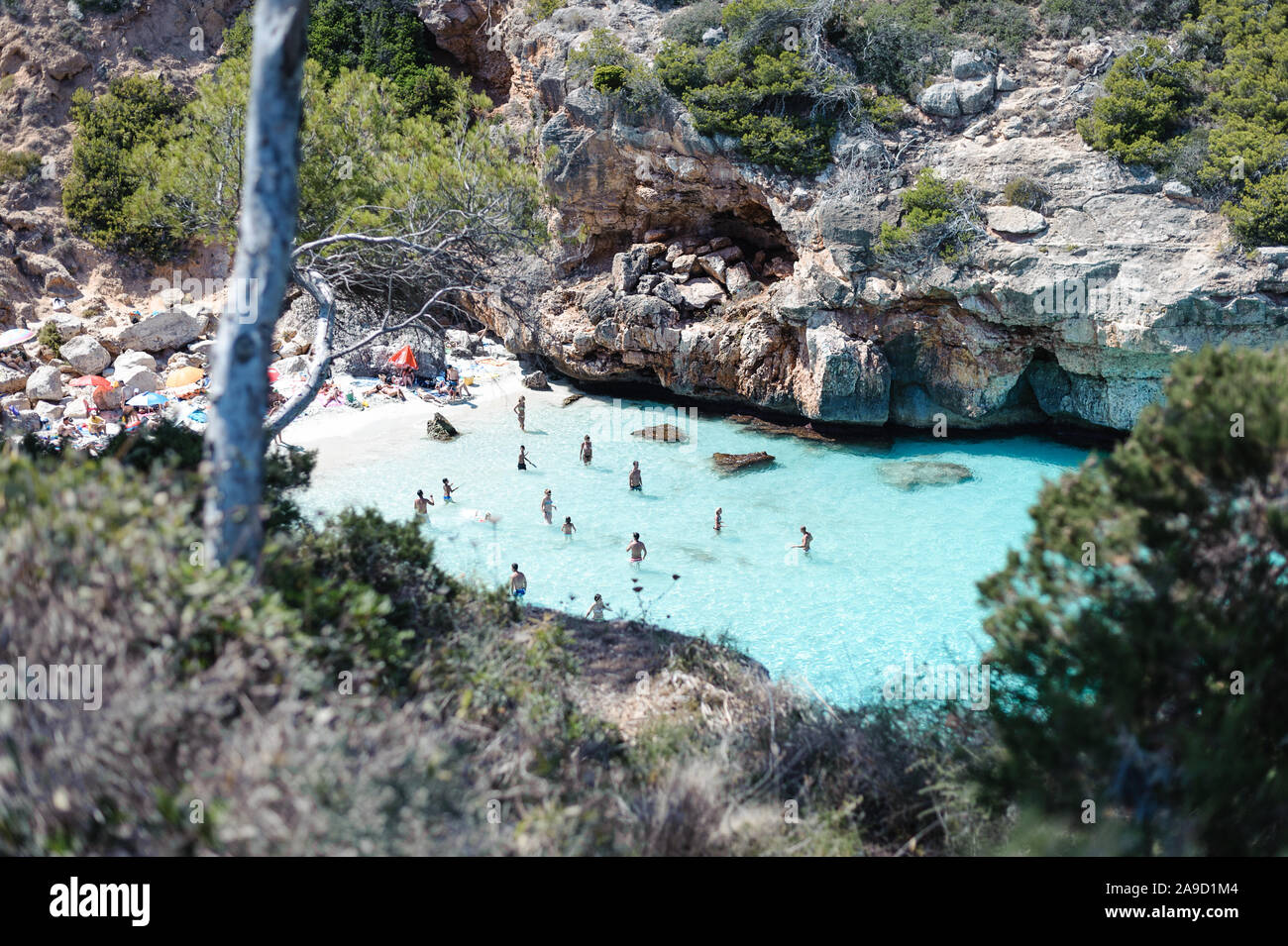 Beach in Majorca Stock Photo - Alamy