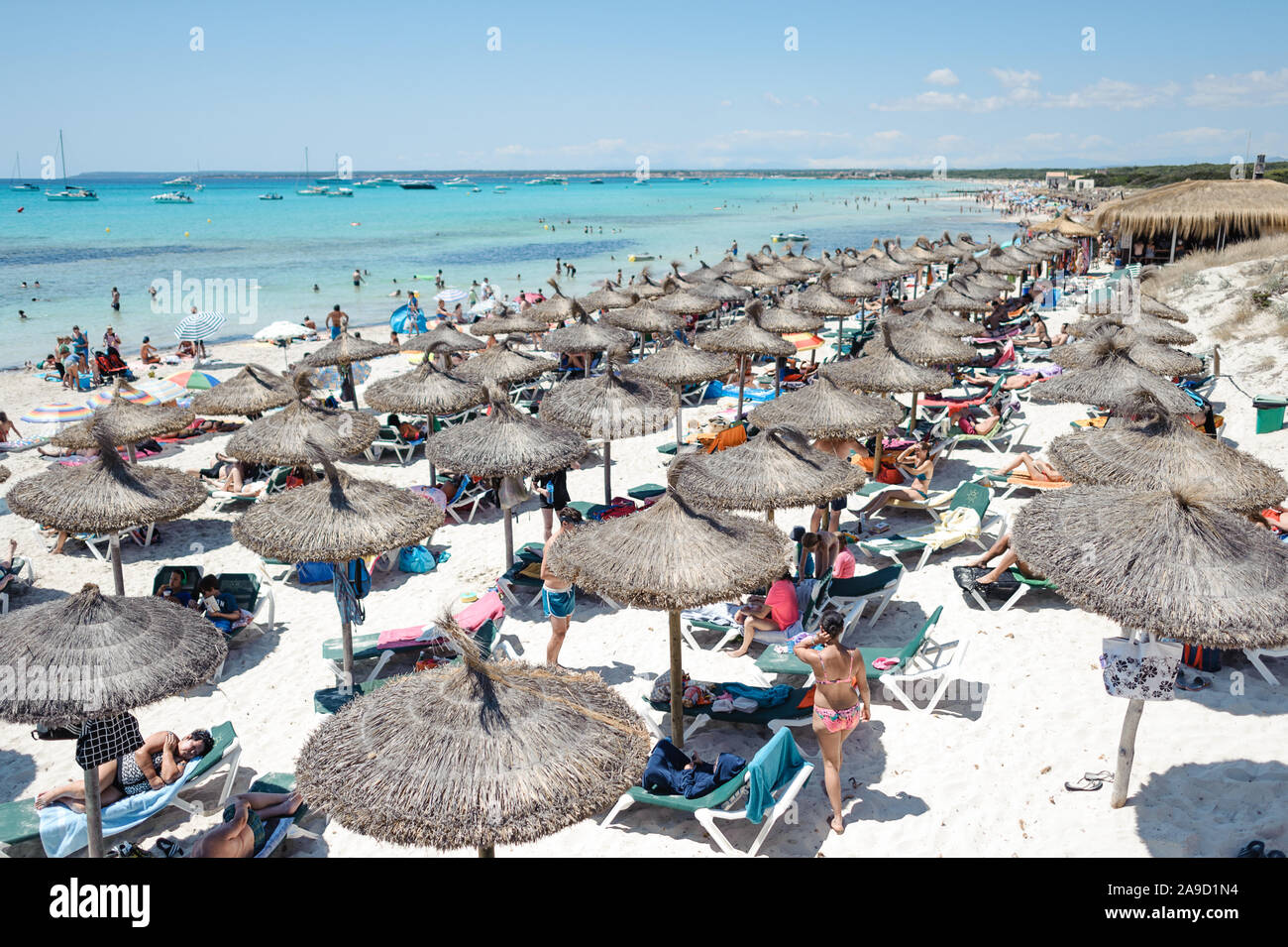 Beach in Majorca Stock Photo - Alamy