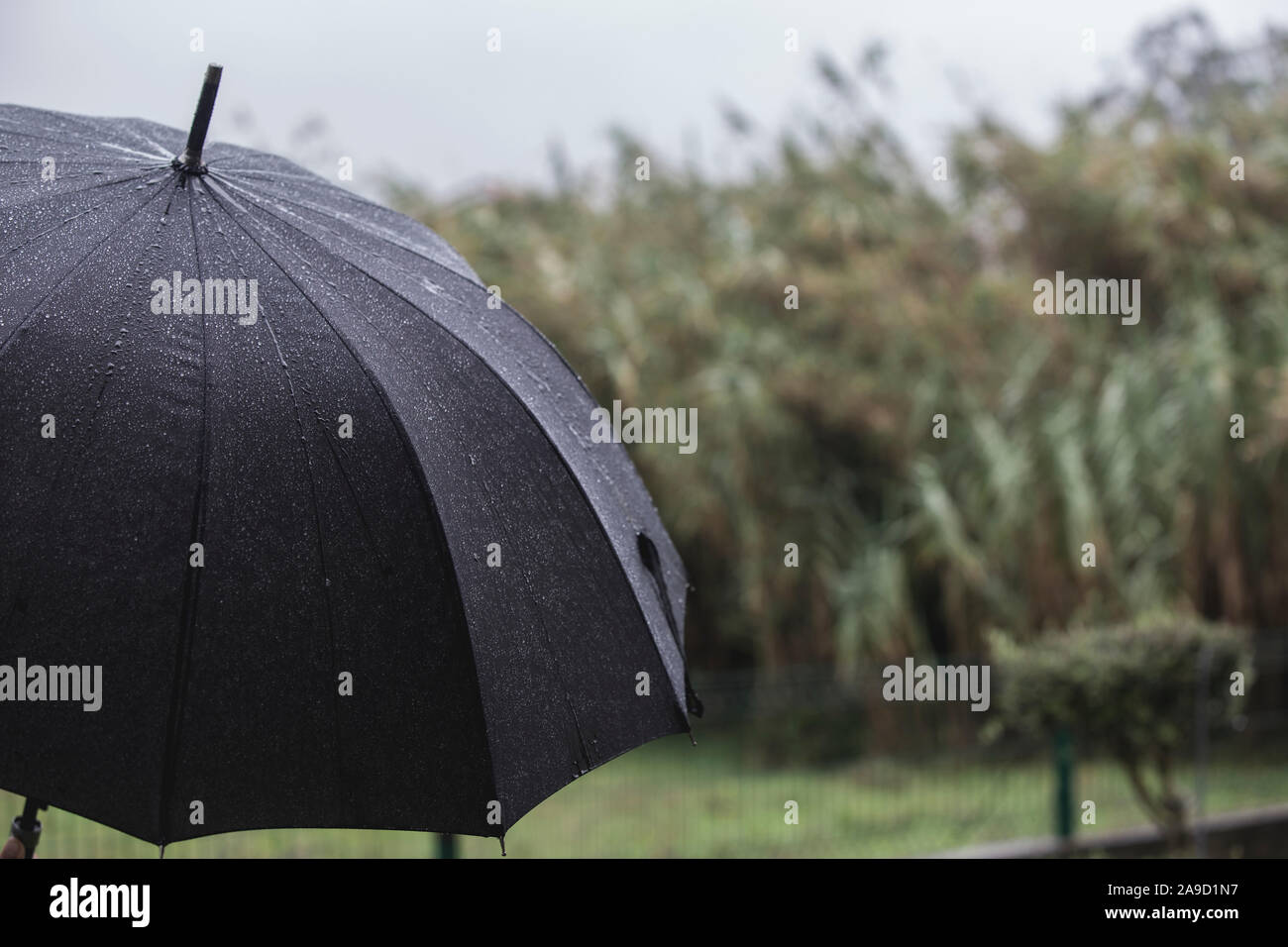 Wind and rain protection hi-res stock photography and images - Alamy