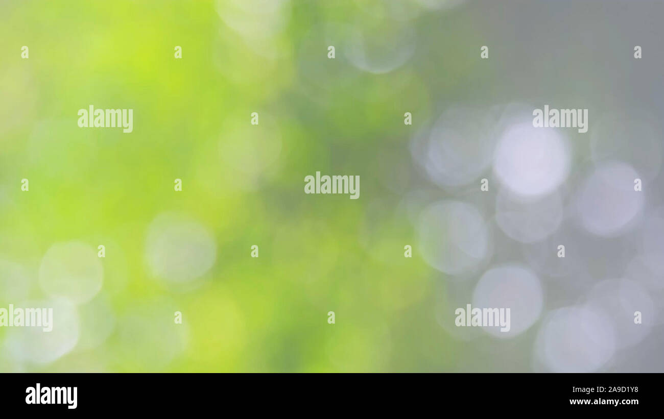 Defocused abstract nature background with green leaves and bokeh lights ...