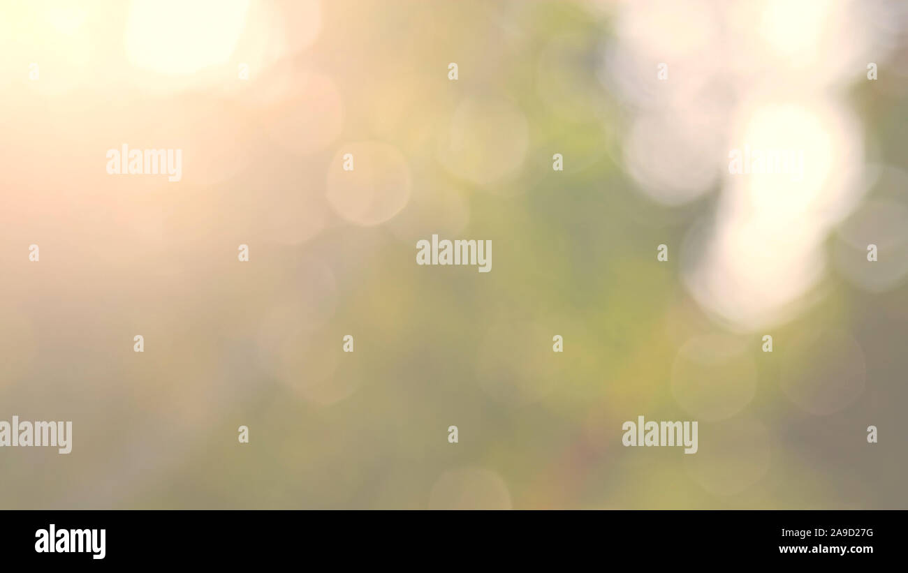 Defocused abstract nature background with green leaves and bokeh lights ...