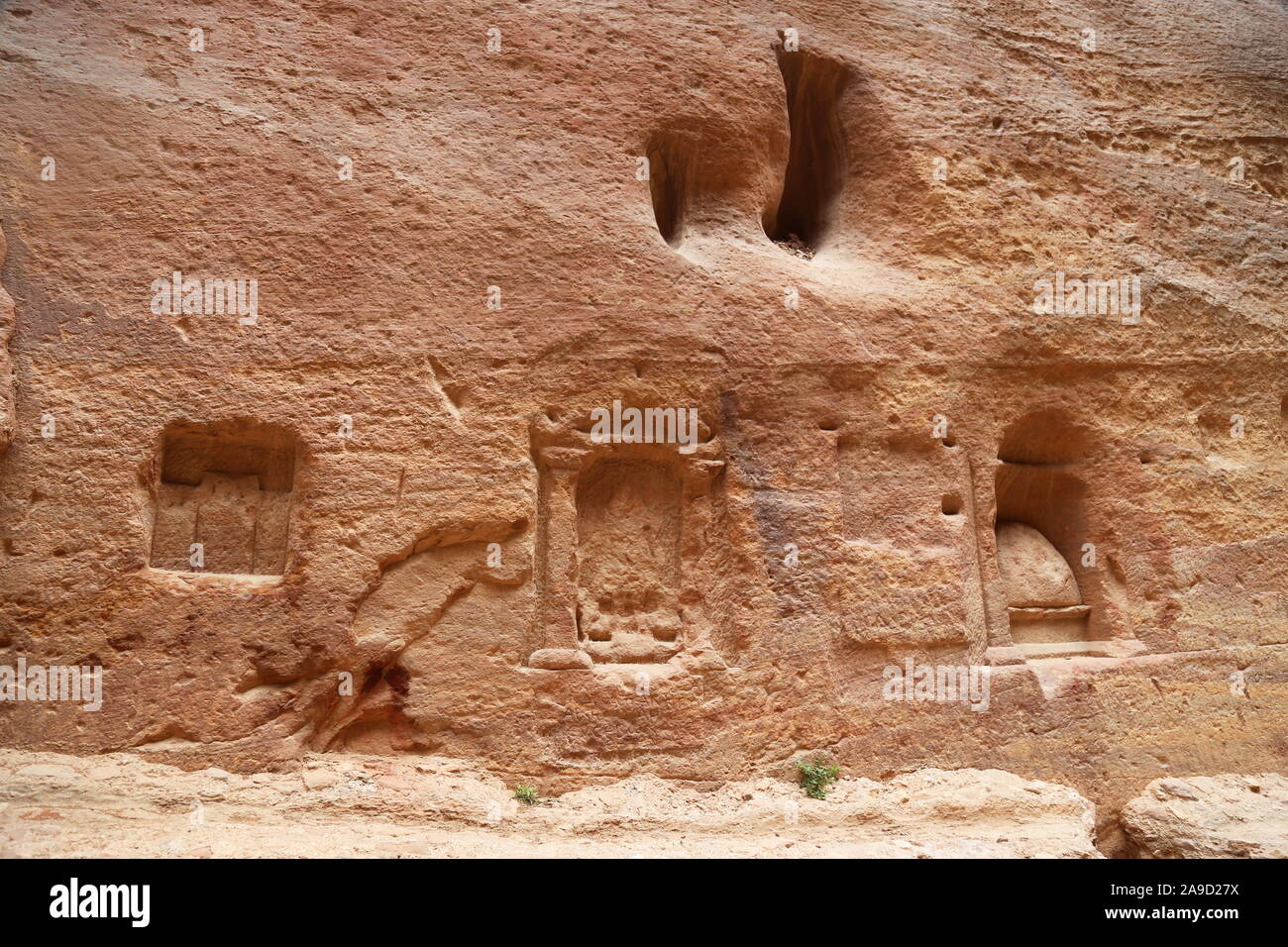 Sabinos alexendros hi-res stock photography and images - Alamy