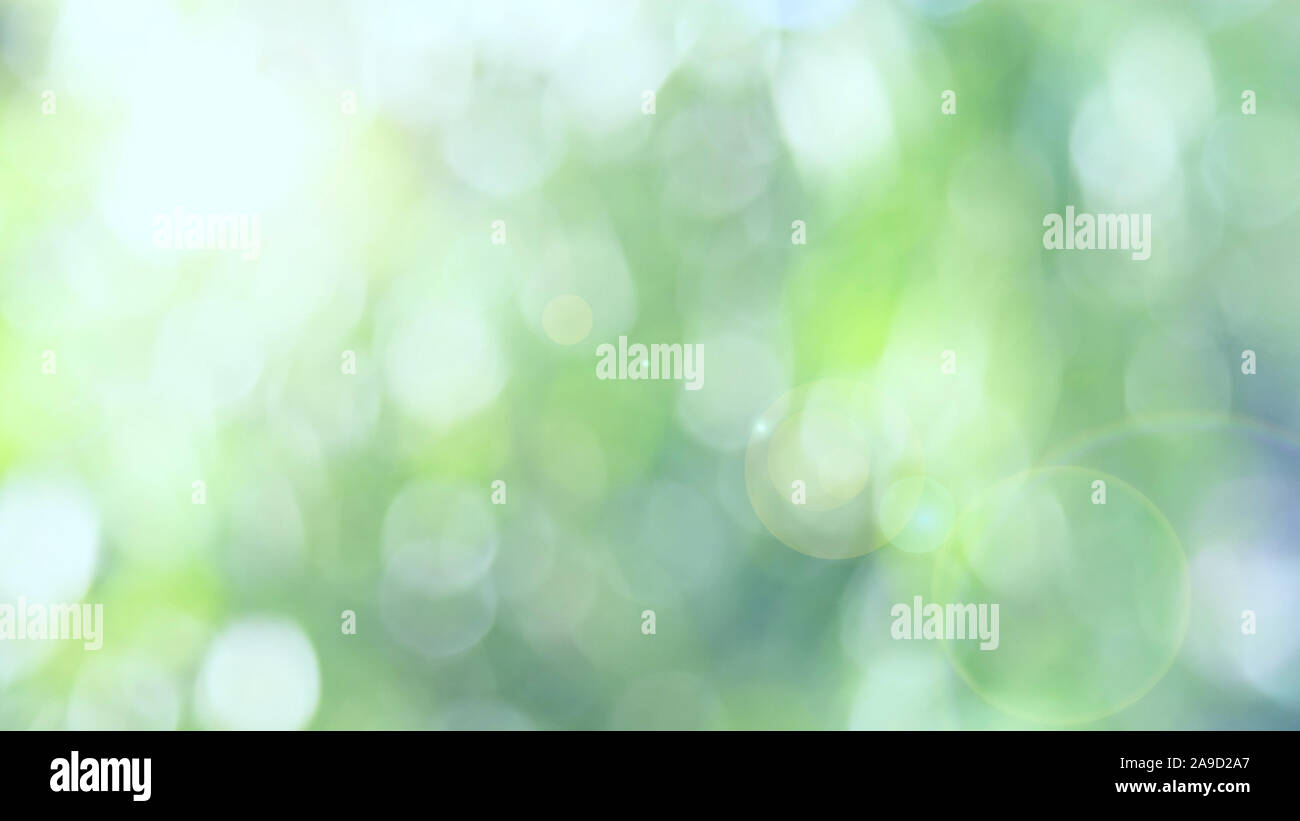 Defocused abstract nature background with green leaves and bokeh lights ...