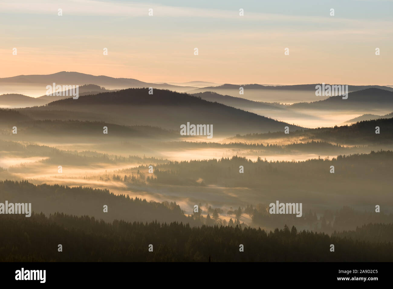 Morning fog in Sumava national park in Czechia, the Bohemian Forest ...