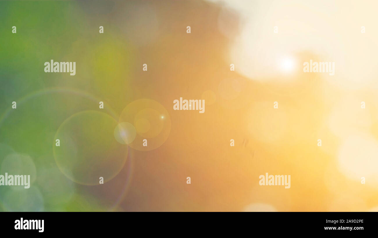 Defocused abstract nature background with green leaves and bokeh lights ...