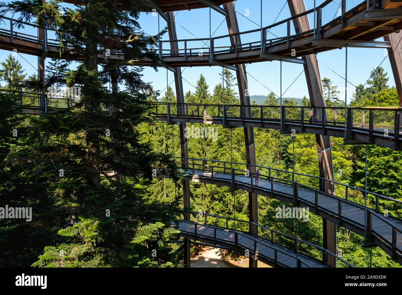 Tree tower, treetop path the Bavarian Forest, Neuschönau, national park ...