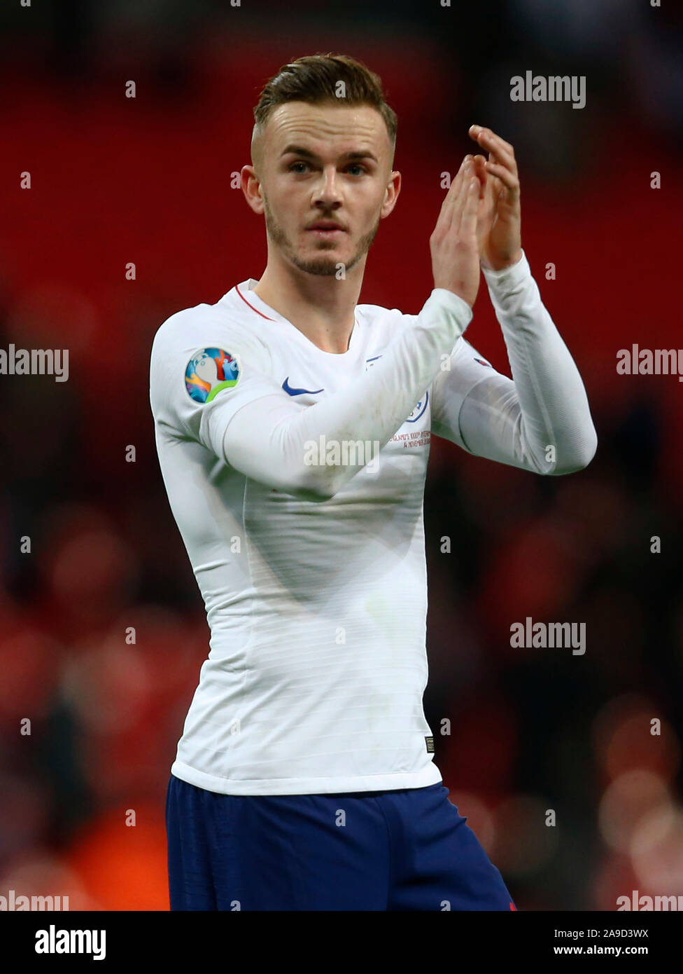 London, UK. 14th Nov, 2019. LONDON, ENGLAND. NOVEMBER 14: James ...