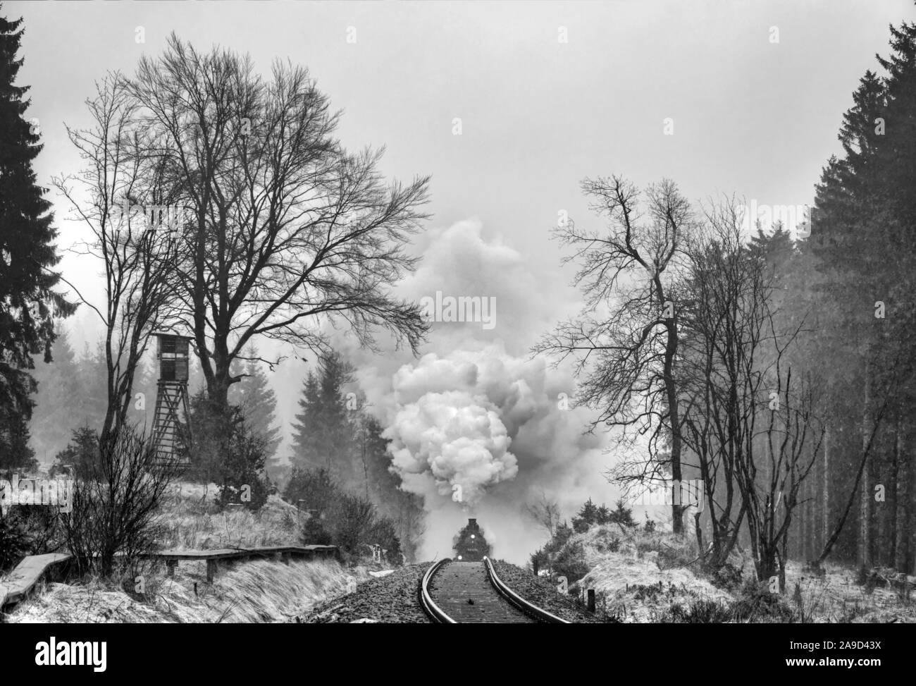 Train, tree, track, wood, hunting raised hide Stock Photo - Alamy
