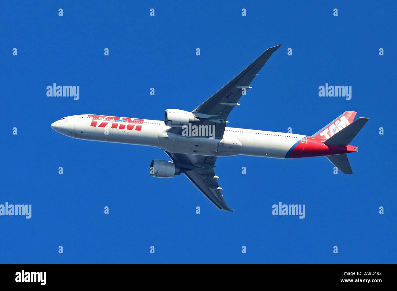 Tam Airlines