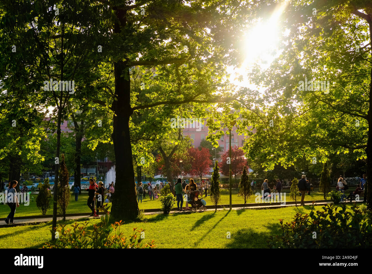 Green area tirana hi-res stock photography and images - Alamy