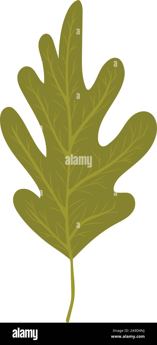 Isolated autumn leaf vector design Stock Vector Image & Art - Alamy