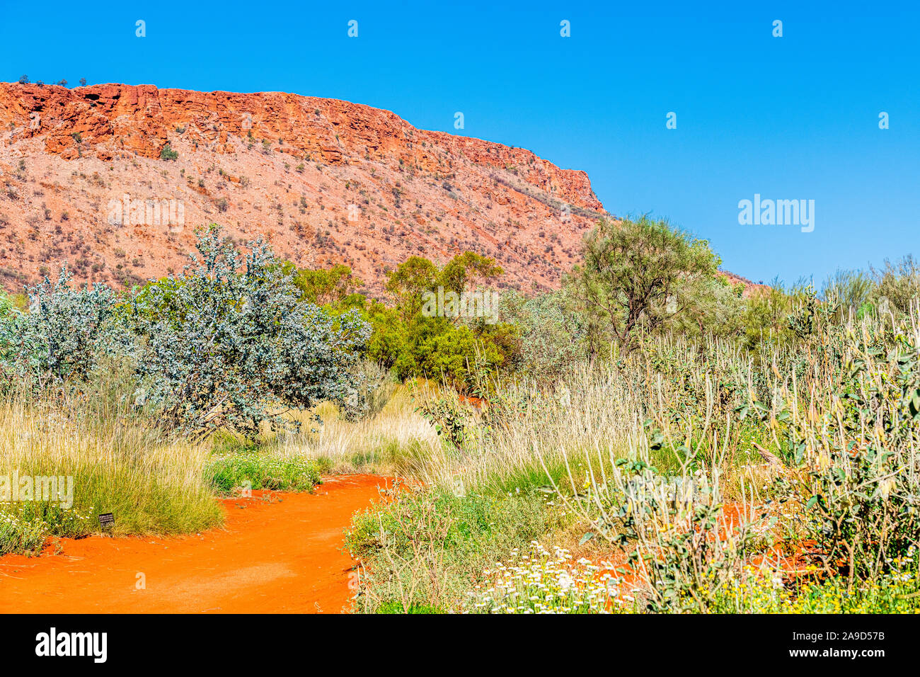 Alice Springs Desert Park in central Australia Stock Photo - Alamy