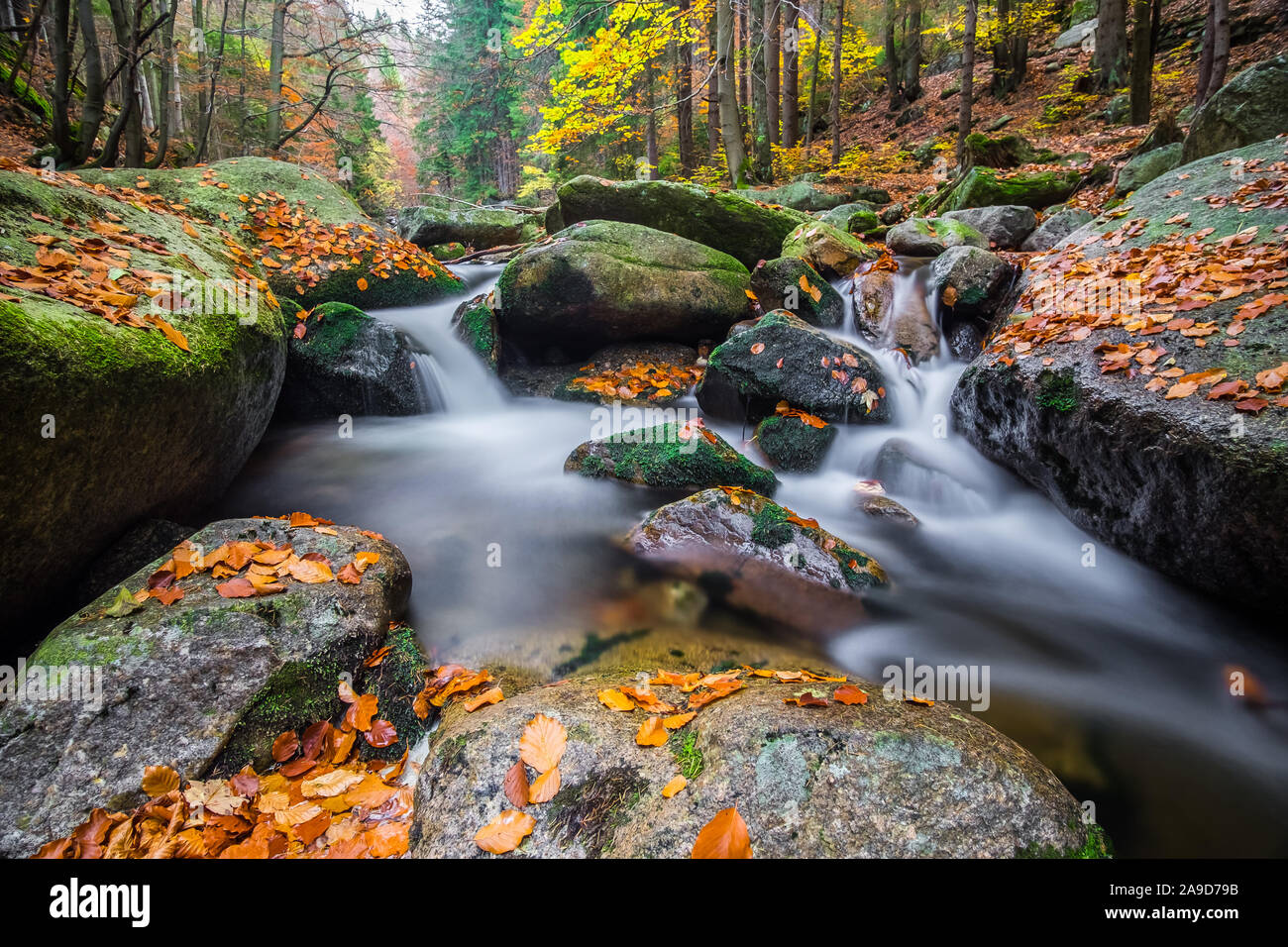 Durski hi-res stock photography and images - Alamy