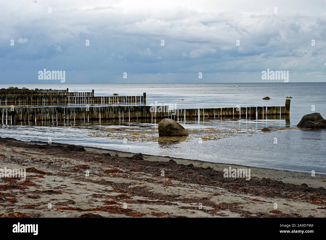 Beach near Hohwacht, Baltic Sea, Plön (district), Probstei Region ...