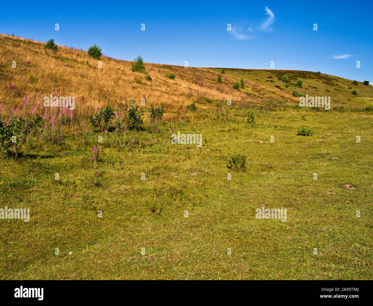 Sweden, Scania, Brösarp, Brösarps Backar Hills Stock Photo - Alamy