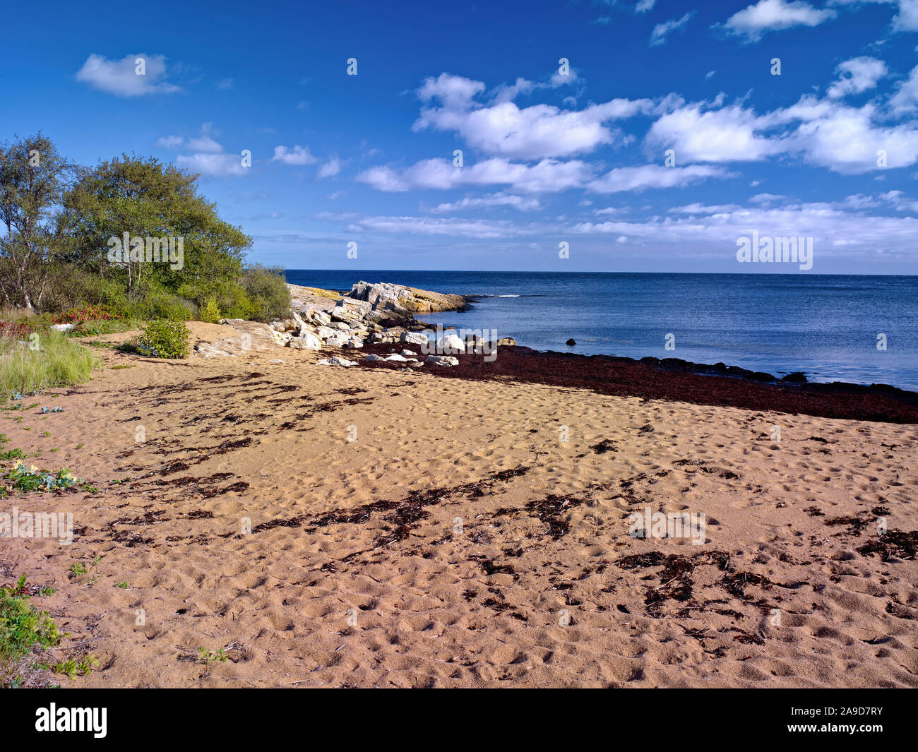 Sweden, Scania, sandy beach near Baskemölla Stock Photo - Alamy