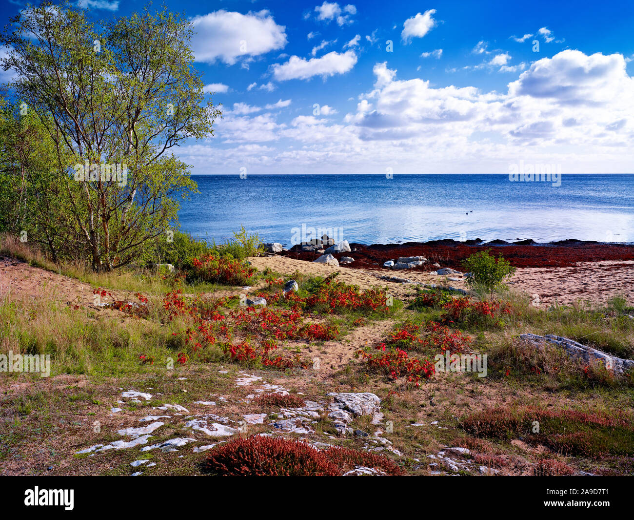 Baltic Sea Simrishamn High Resolution Stock Photography and Images - Alamy