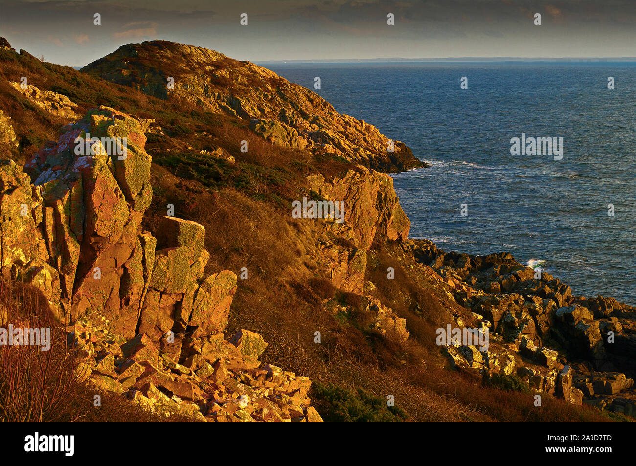 Sweden, Scania, Kullen Peninsula, Höganes, evening light at ...