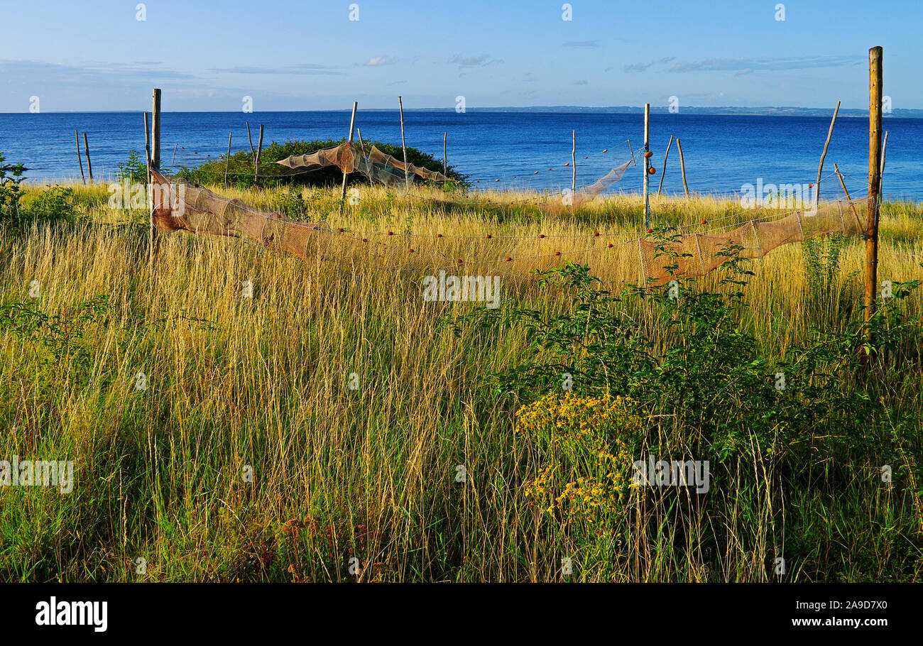 Sweden, Scania, Kullen Peninsula, Höganes, fyke nets on the coast of ...