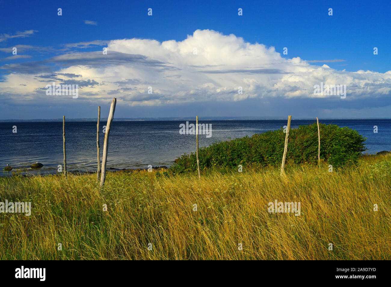 Sweden, Scania, Kullen Peninsula, Höganes, coast of Skälderviken Bay ...