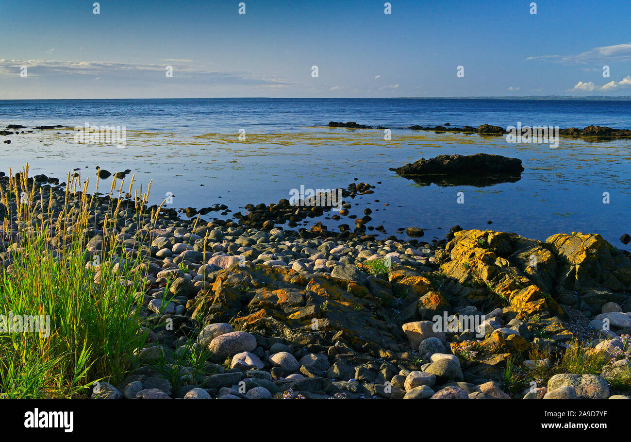 Sweden, Scania, Kullen Peninsula, Höganes, coast of Skälderviken Bay ...
