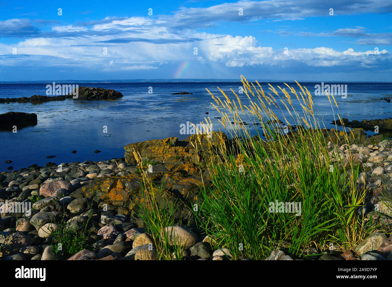 Sweden, Scania, Kullen Peninsula, Höganes, rocky coast of Skälderviken ...