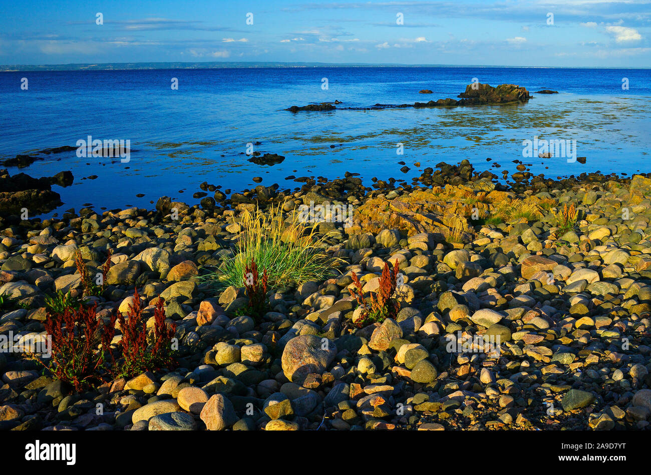 Sweden, Scania, Kullen Peninsula, Höganes, coast Skälderviken Bay Stock ...