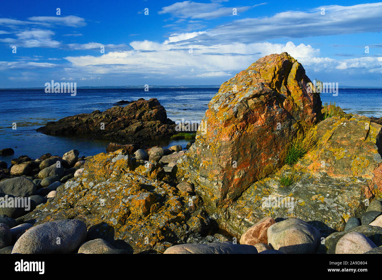Sweden, Scania, Kullen Peninsula, Höganes, rocky coast of Skälderviken ...