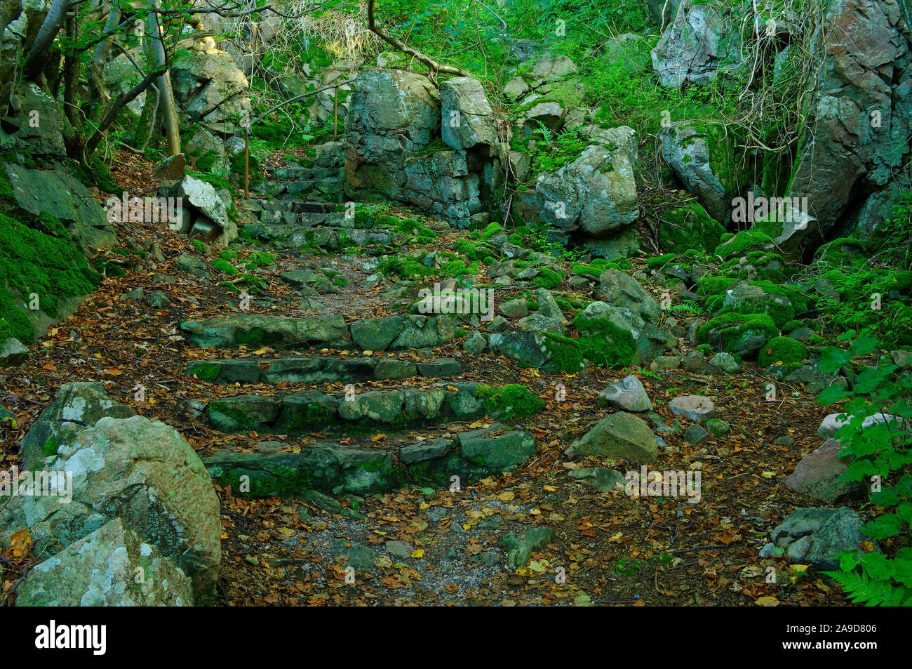 Sweden, Scania, Kullen Peninsula, Höganes, stone stairs in the coastal ...
