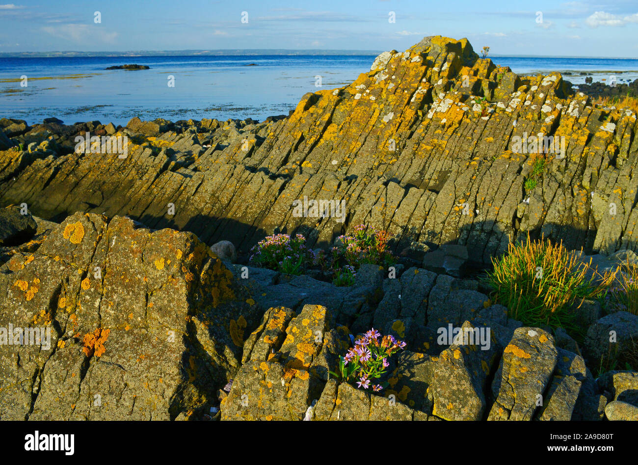 Sweden, Scania, Kullen Peninsula, Höganes, rocky coast of Skälderviken ...