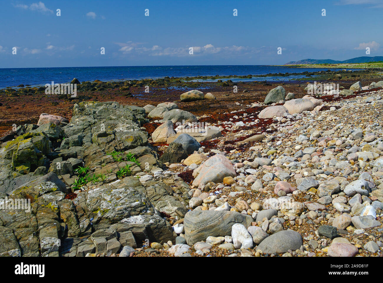 Sweden, Scania, Kullen Peninsula, pebble beach on Kattegat coast Stock ...
