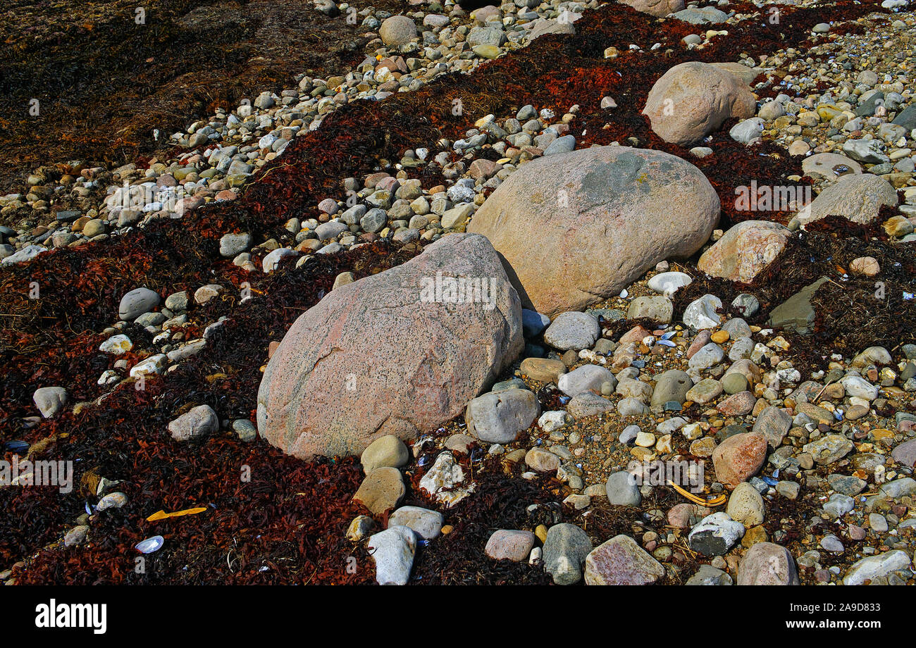 Sweden, Scania, Kullen Peninsula, pebble beach on Kattegat coast Stock ...