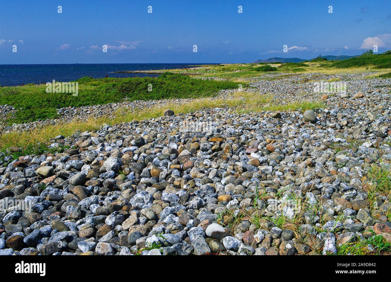 Sweden, Scania, Kullen Peninsula, pebble beach on Kattegat coast Stock ...
