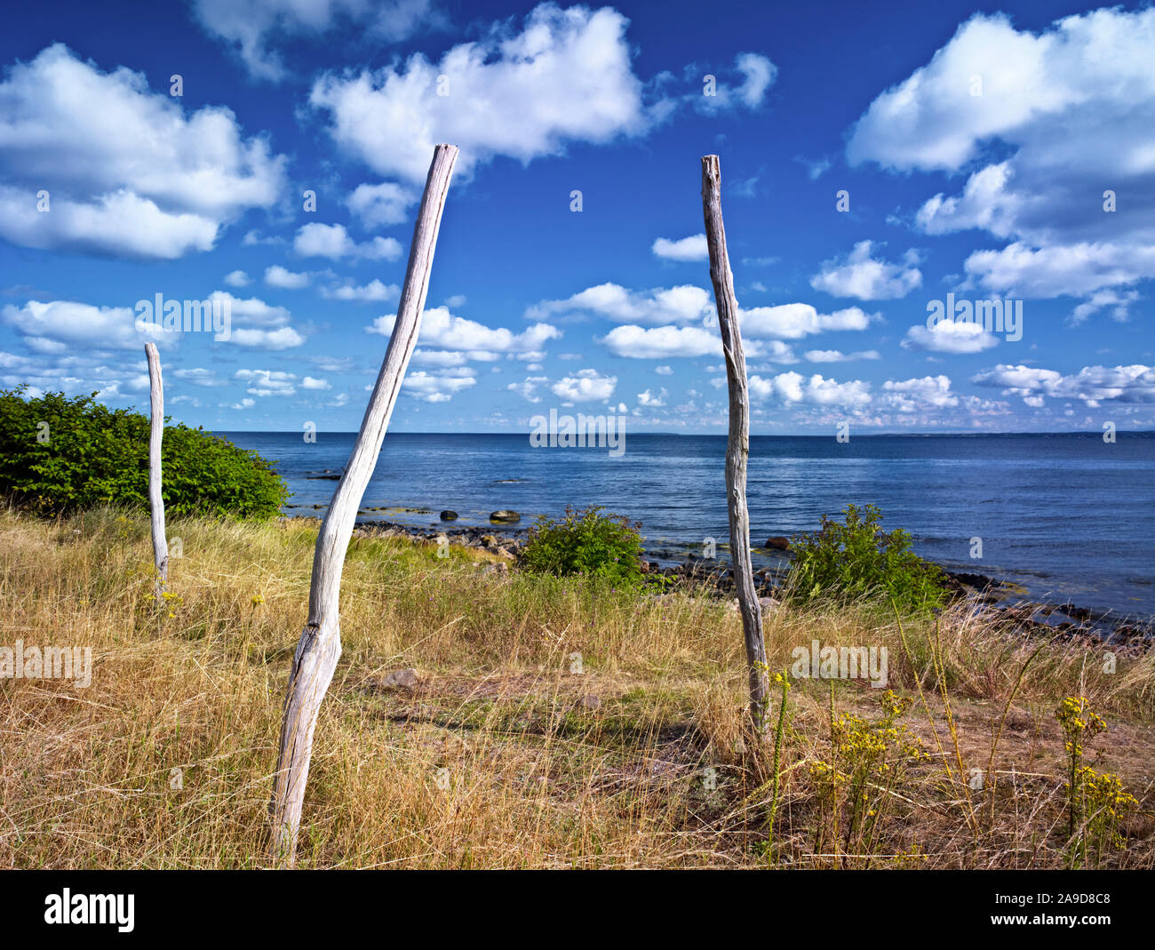 Sweden, Scania, Kullen Peninsula, Höganes, coast on Skälderviken Bay ...