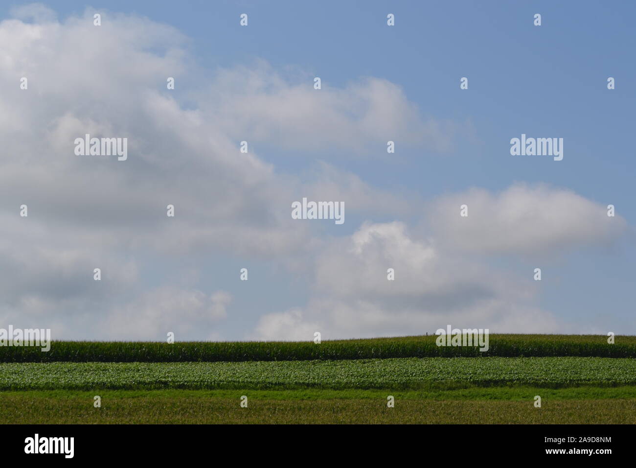 Flat green field and big sky Stock Photo - Alamy