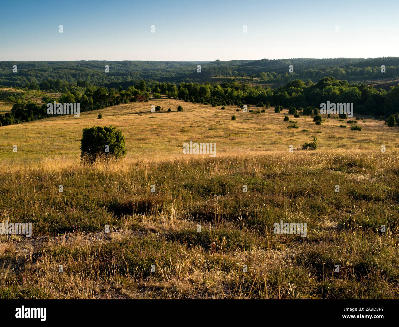 Sweden, Scania, Brösarp, Brösarps Backar Hills Stock Photo - Alamy
