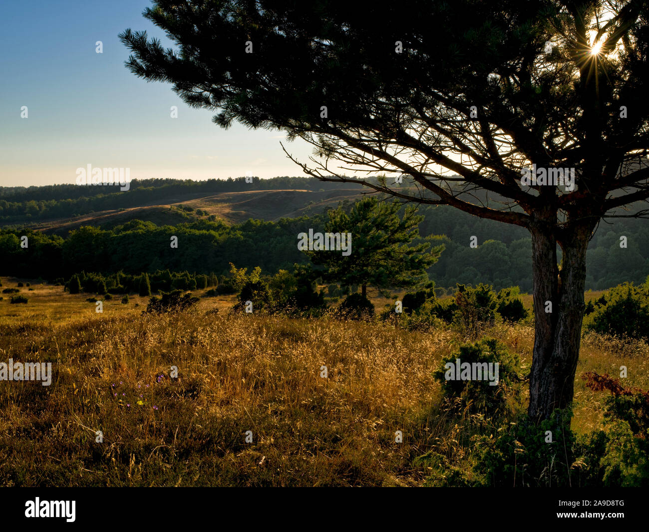 Sweden, Scania, Brösarp, Brösarps Backar Hills Stock Photo - Alamy