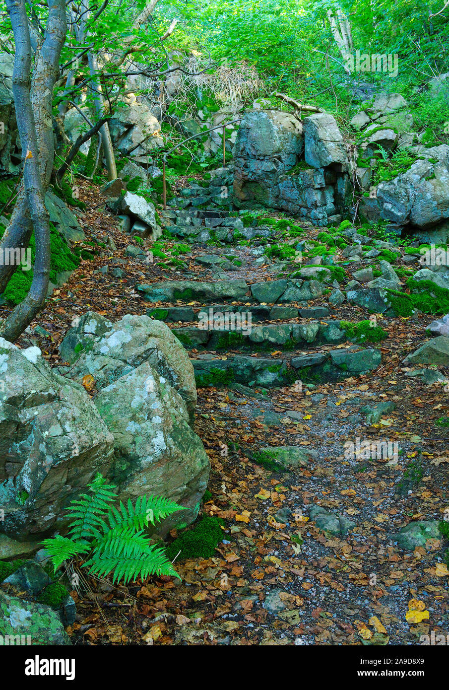 Sweden, Scania, Kullen Peninsula, Höganes, stone stairs in the coastal ...