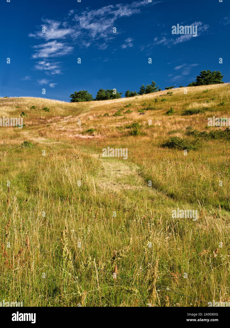 Sweden, Scania, Brösarp, Brösarps Backar Hills Stock Photo - Alamy