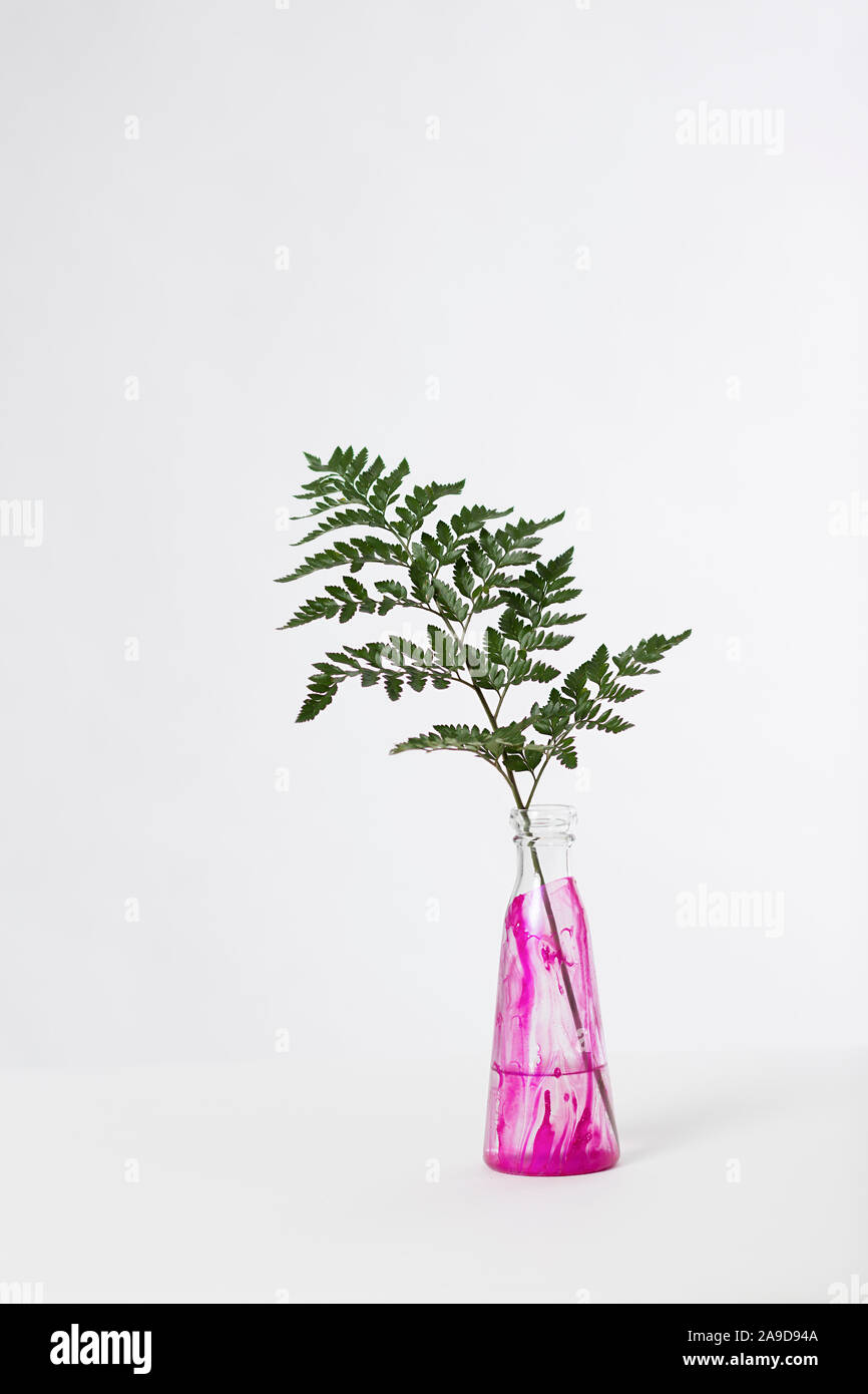 Vase, marbled, fern leaf Stock Photo - Alamy