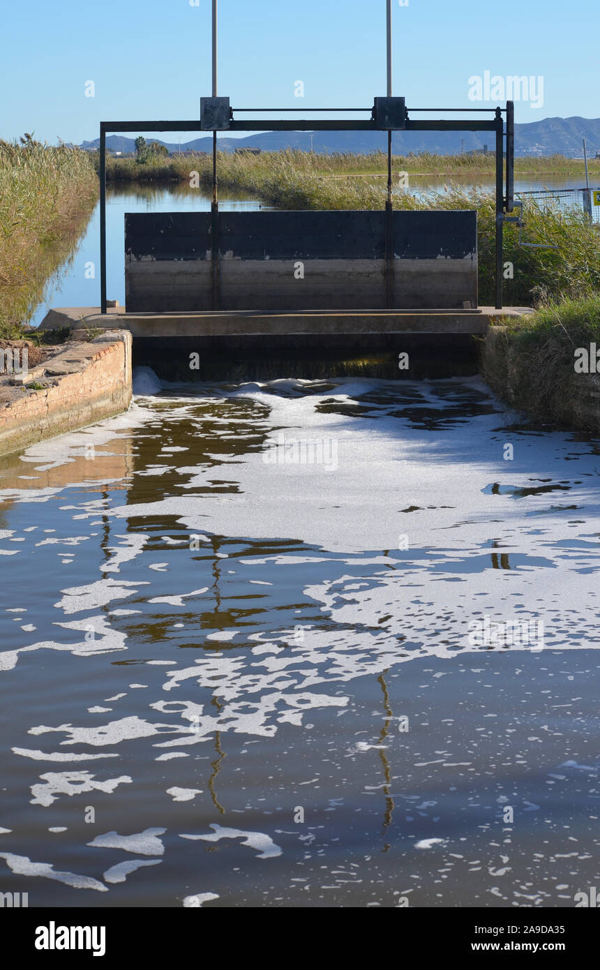 Water pollution in La Albufera natural park, Valencia region (eastern ...