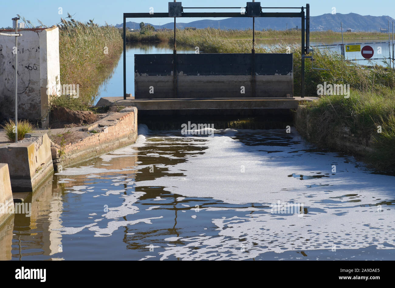 Water pollution in La Albufera natural park, Valencia region (eastern ...