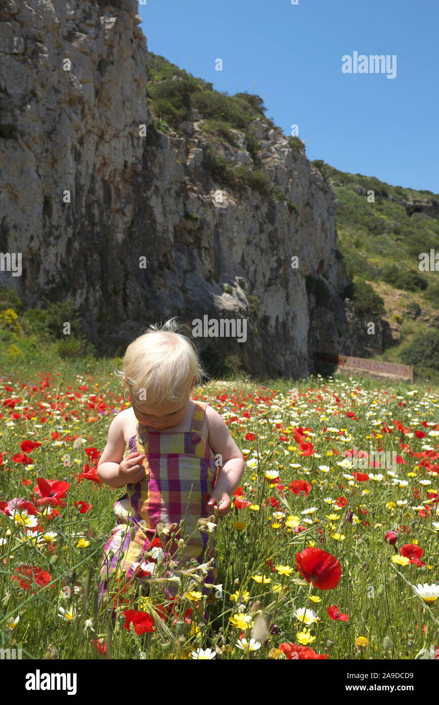 Child in the flower field Stock Photo - Alamy