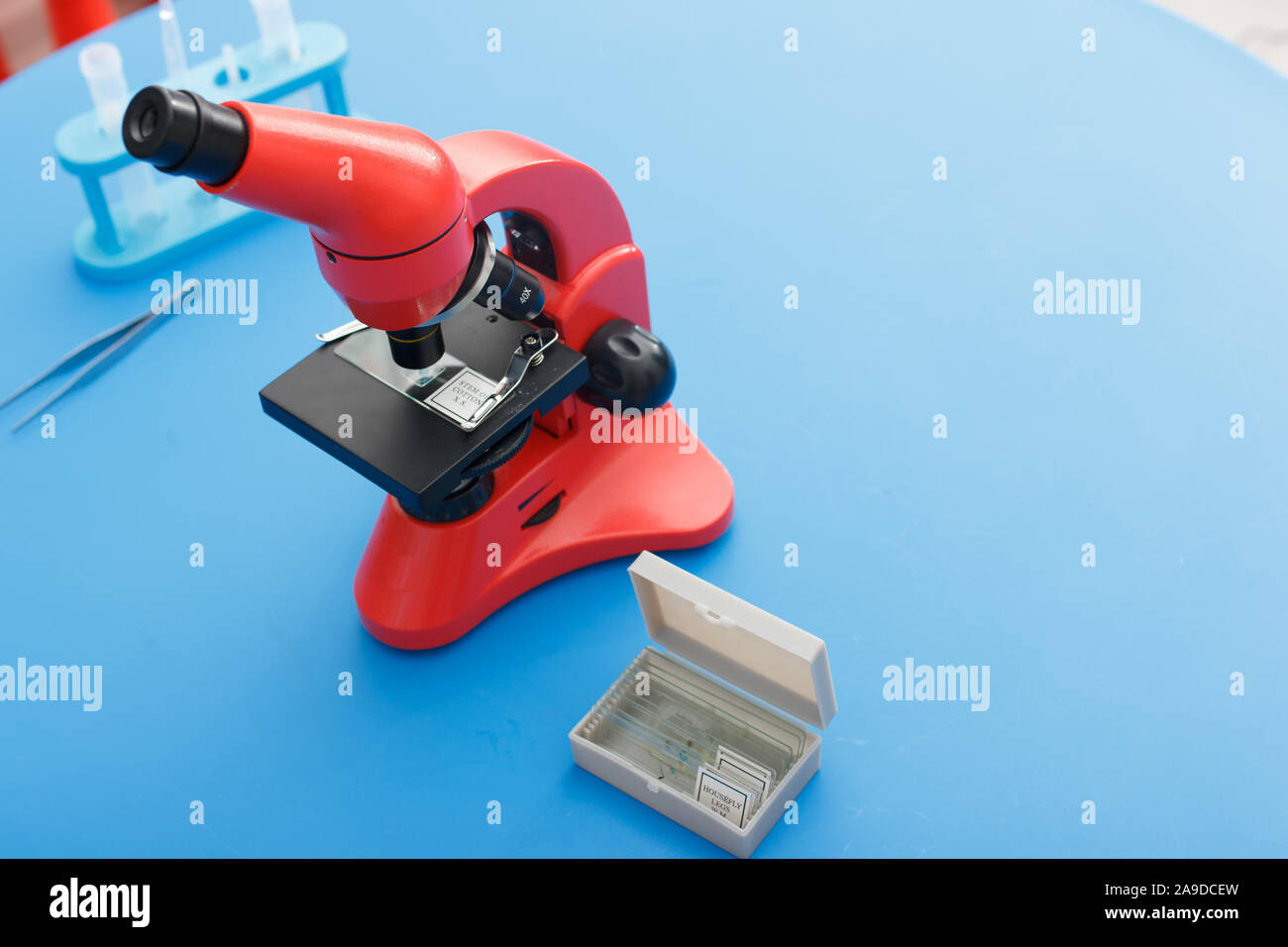Top view of home laboratory equipment. Red Microscope, test tubes on ...