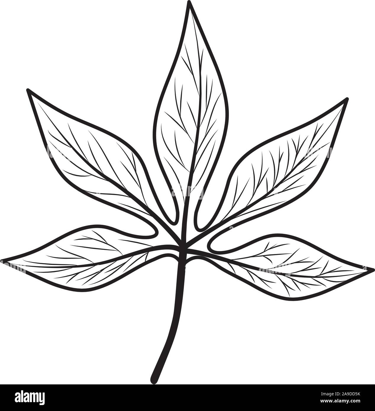 Isolated autumn leaf vector design Stock Vector Image & Art - Alamy