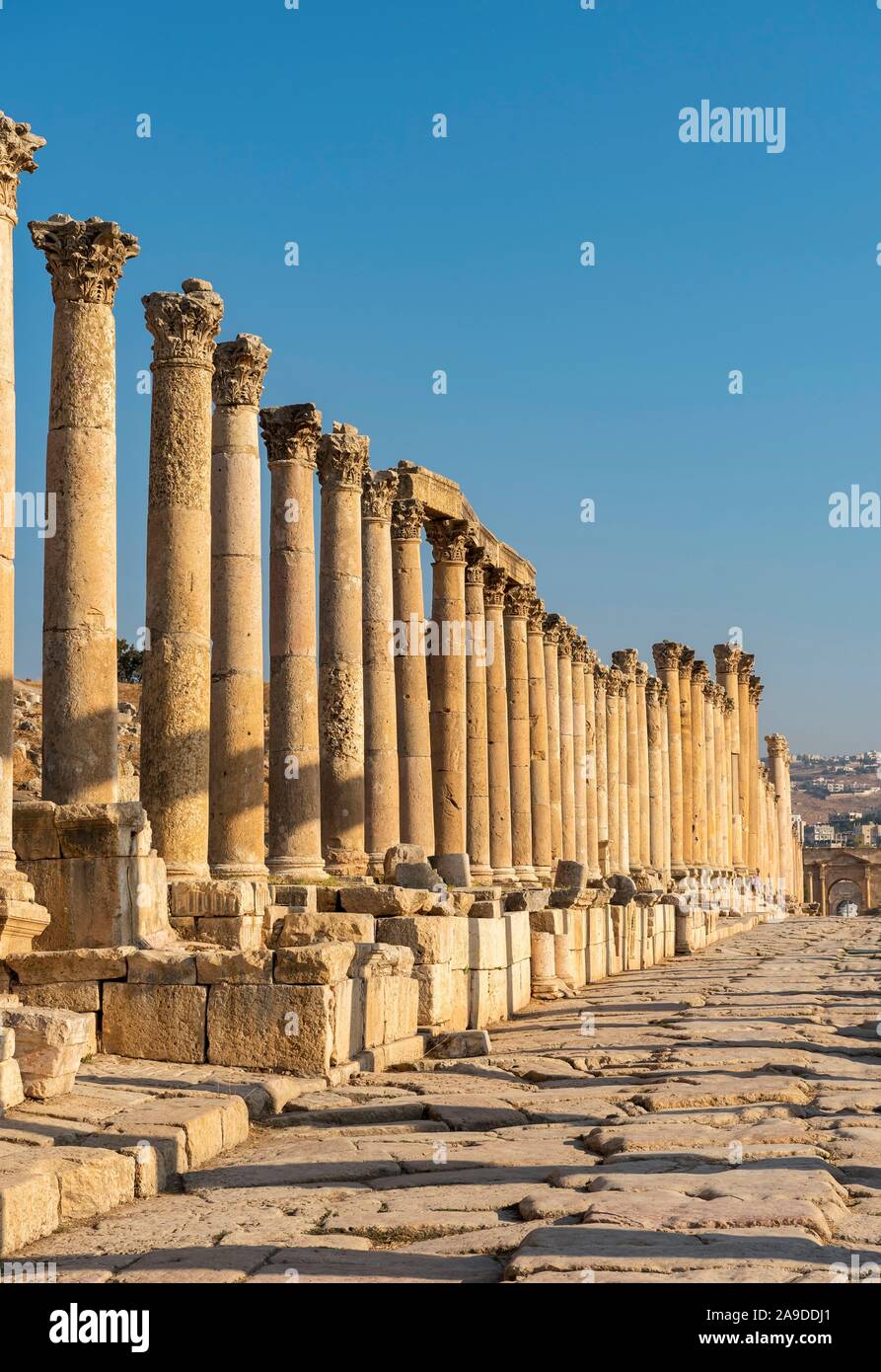 Columns of Cardo Maximus street, Jerash, Jordan Stock Photo - Alamy