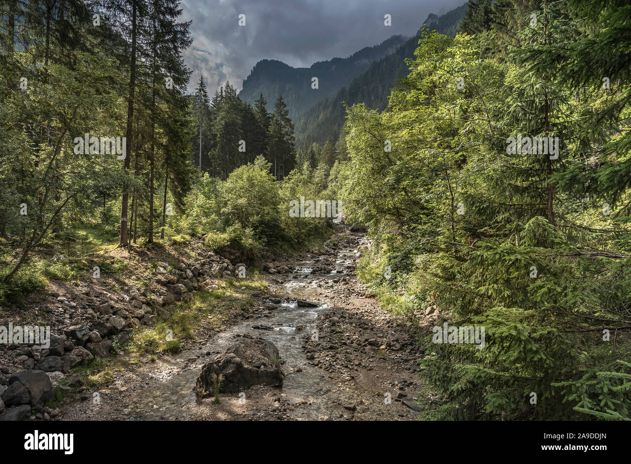 Hiking trail in South Tyrol Stock Photo - Alamy