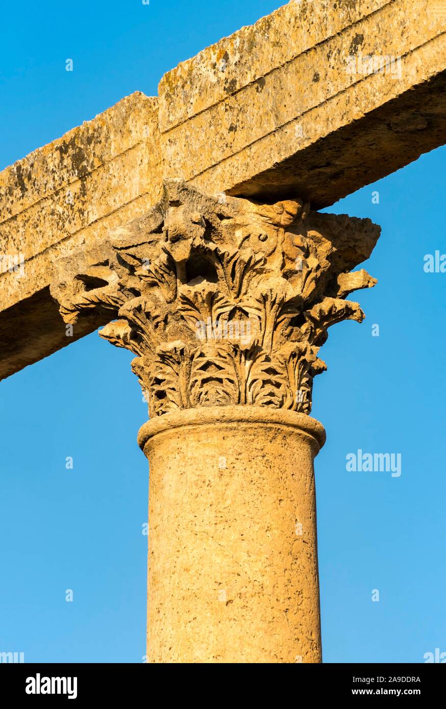 Western asia view of the ancient city of jerash hi-res stock ...