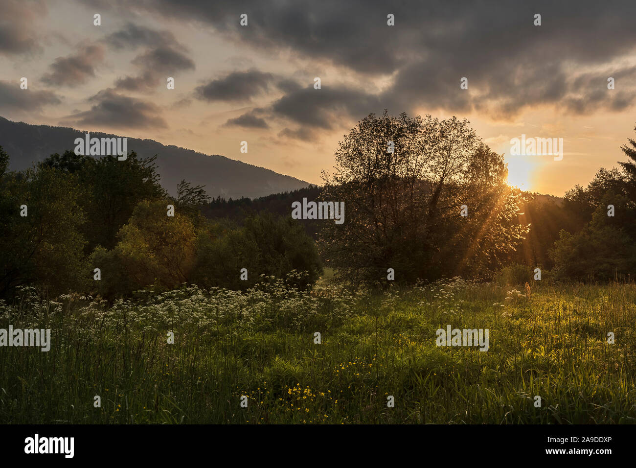 Landscape in the morning light Stock Photo - Alamy