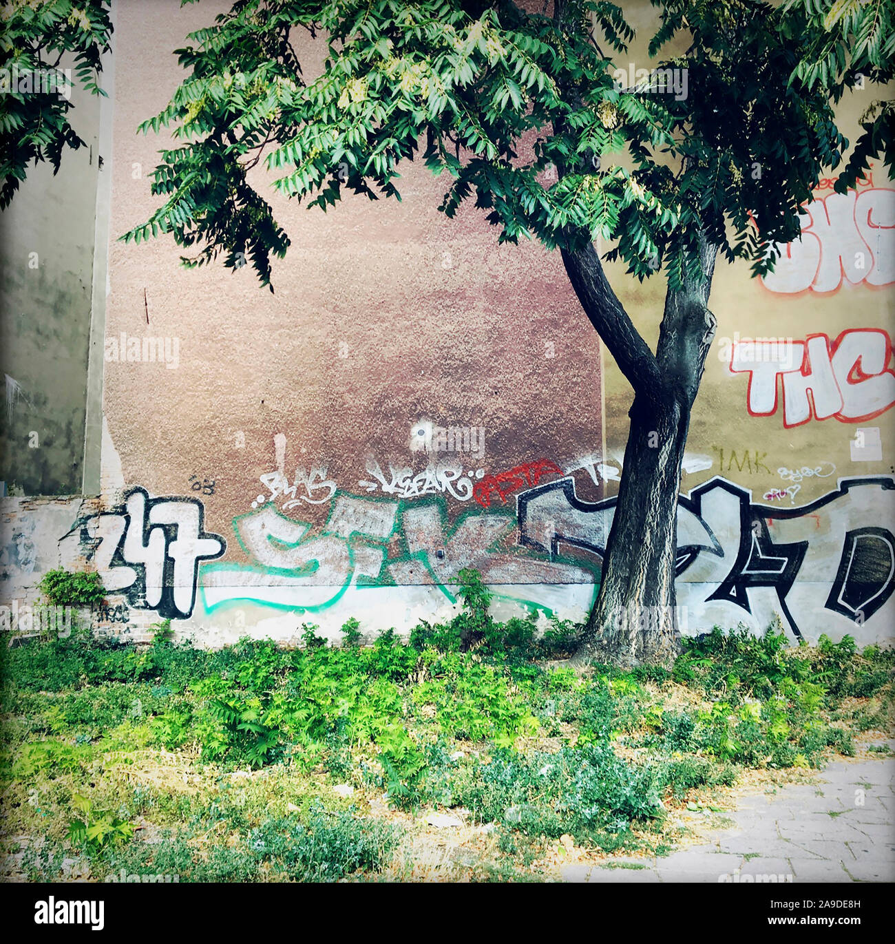 Fire protection wall, tree, graffiti, Berlin Stock Photo - Alamy